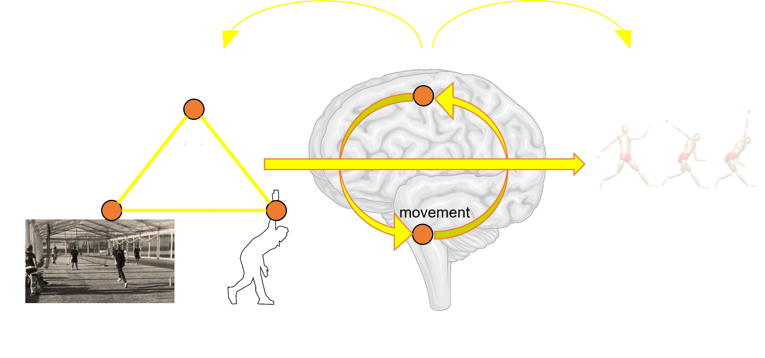 March 2023 – Movement Methods & Techniques – The Cricket Biomechanist